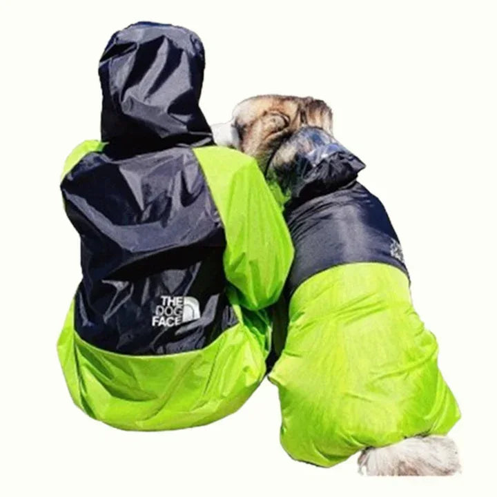 The Dog Face Dog Human Matching Raincoat | CityBear