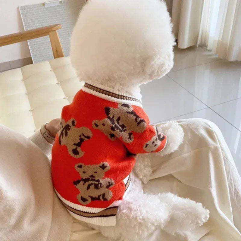 Teddy Print Button Front Pet Cardigan Sweater | CityBear
